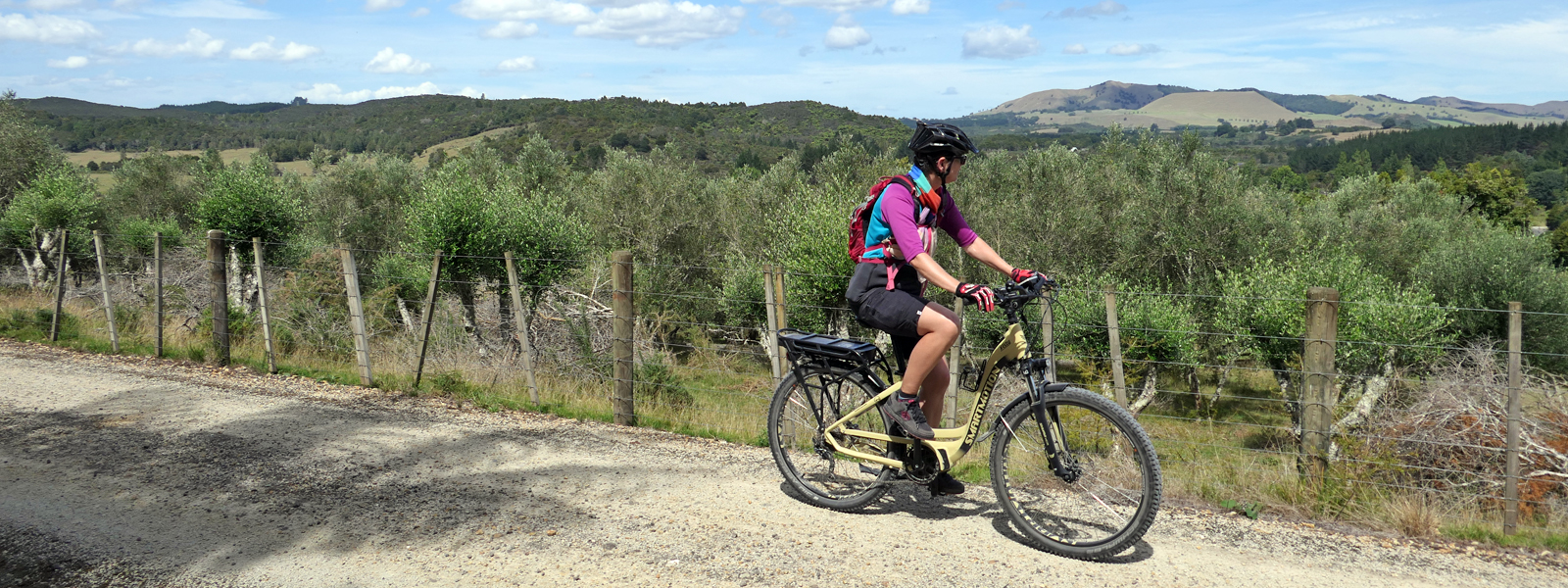 An introduction to e-bikes | New Zealand Cycle Trail