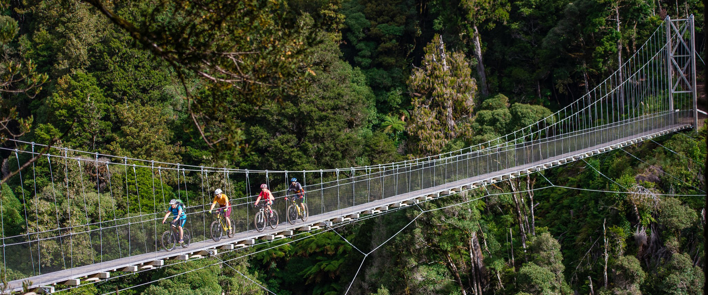New Zealand's record-breaking Great Rides | New Zealand Cycle Trail
