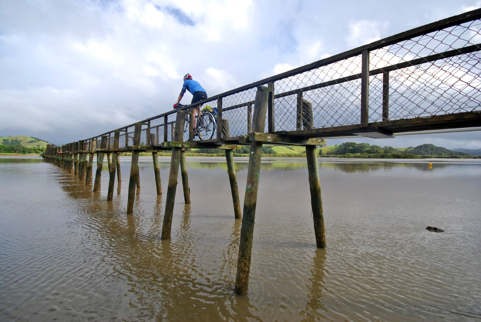 Twin Coast Mega Loop | Ngā Haerenga New Zealand Cycle Trails