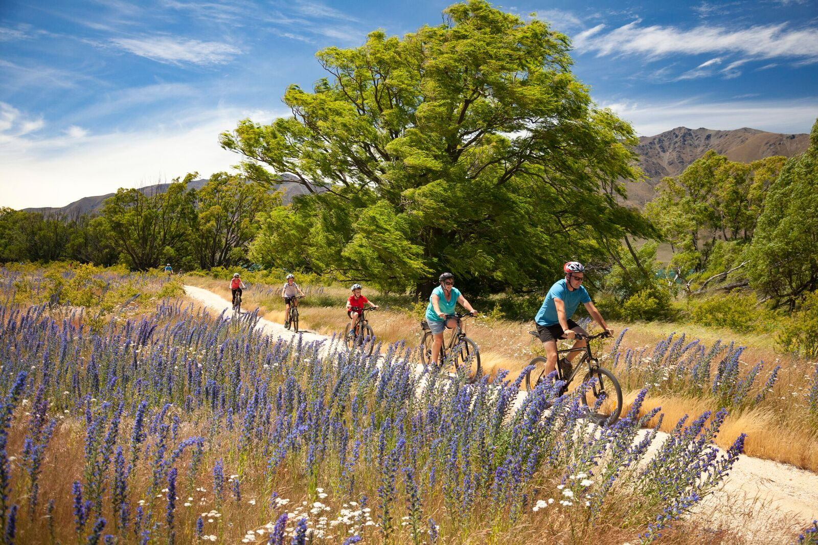 Cycle Journeys (A2O) | Ngā Haerenga New Zealand Cycle Trails