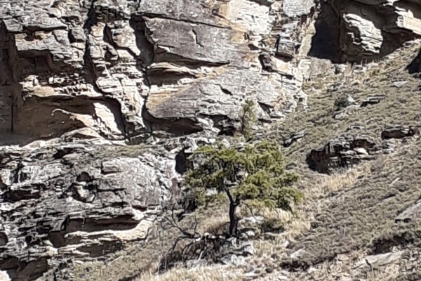 Lake Dunstan Trail's Hidden Secrets